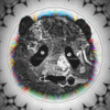 "Psychedelic Pandas" by FunkLyke | Redbubble