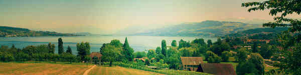 Nigel Finn Shop | Redbubble