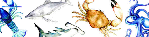 Brianne Gates Shop | Redbubble