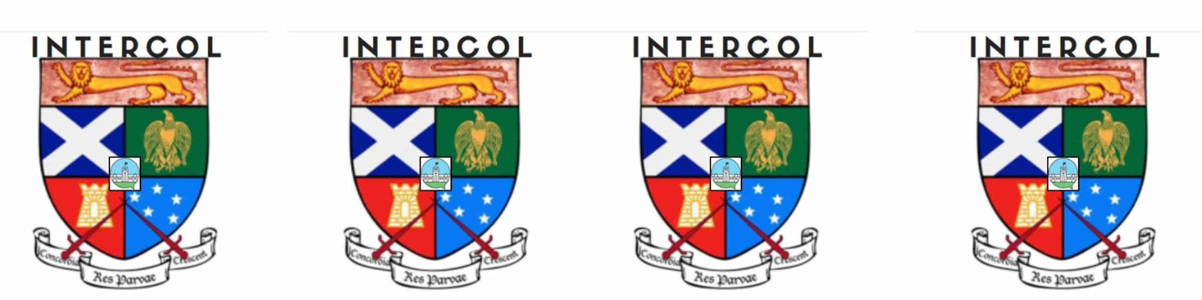Intercol Merch Blackmarket Shop | Redbubble
