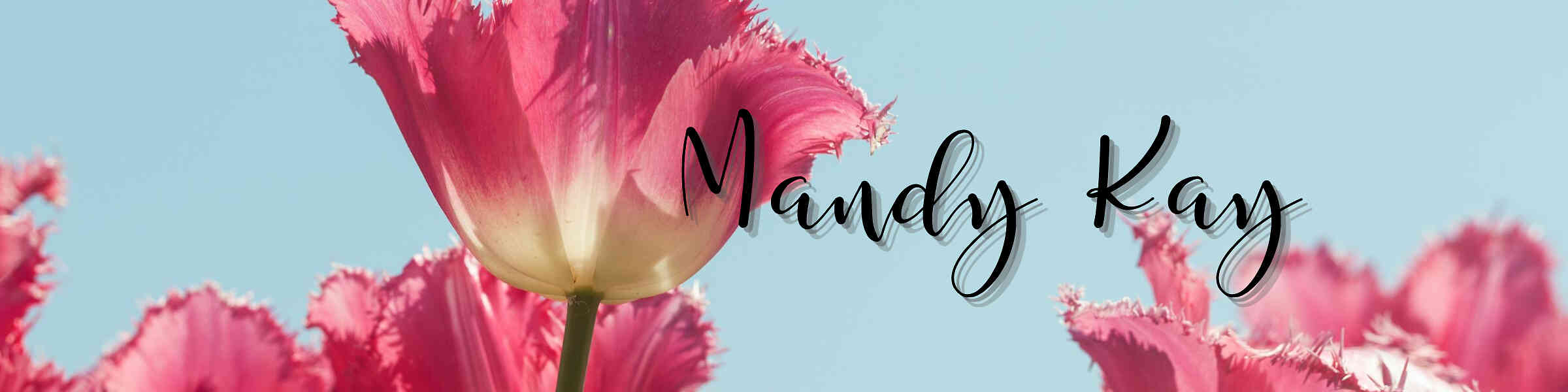 Mandy Kay Shop | Redbubble