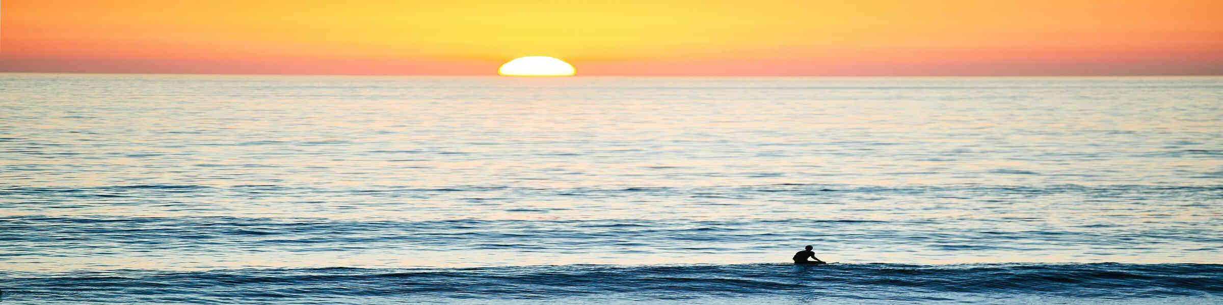 Surfer Dave Designs Shop | Redbubble