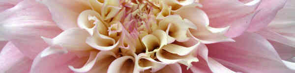 Pixie-Atelier Shop | Redbubble