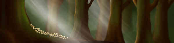 Megan Yip Shop | Redbubble