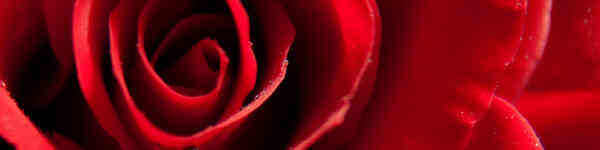 Anteia Shop | Redbubble