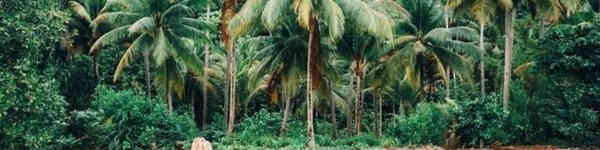 Laura Remes Shop | Redbubble