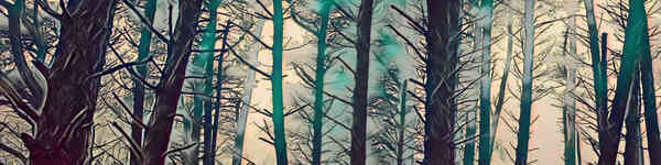 Shay Murphy Shop | Redbubble