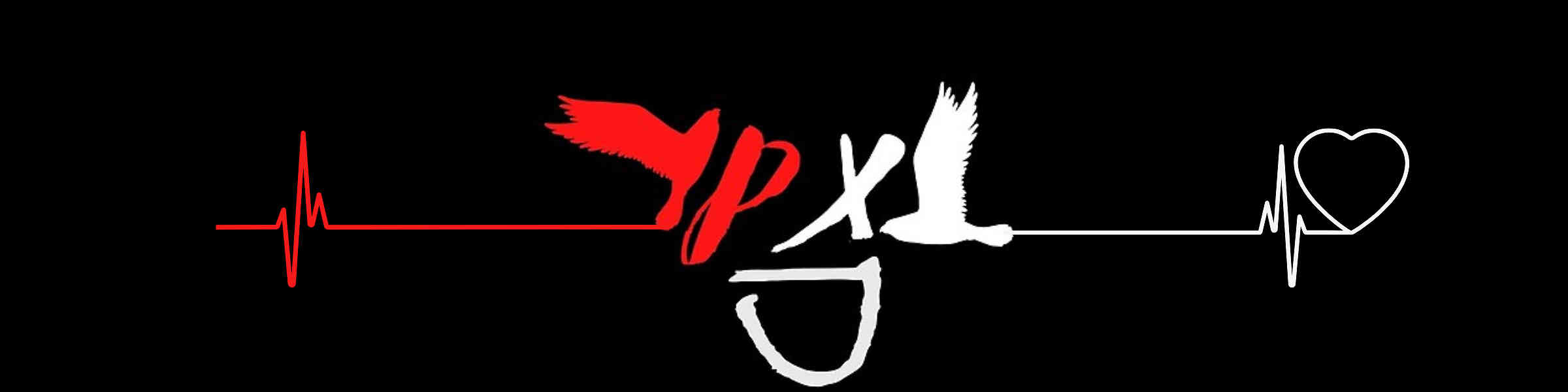 PX D Shop | Redbubble