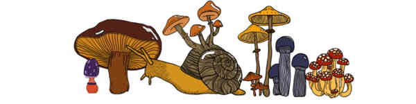 Julia Stedman Shop | Redbubble