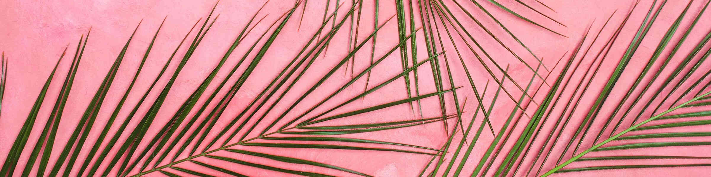 flowear clothing Shop | Redbubble