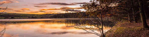 Angie Morton Shop | Redbubble