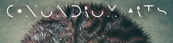 Conundrum Arts Shop | Redbubble