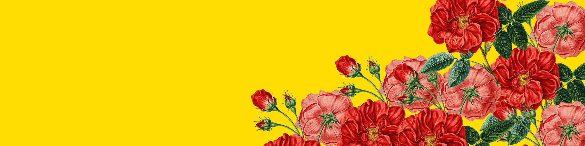 Rubab Designs Shop | Redbubble