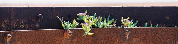 Felicity McLeod Shop | Redbubble