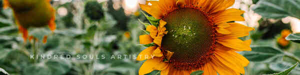 Kailee Harris Roberson Shop | Redbubble