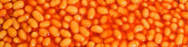 beans-wtf Shop | Redbubble