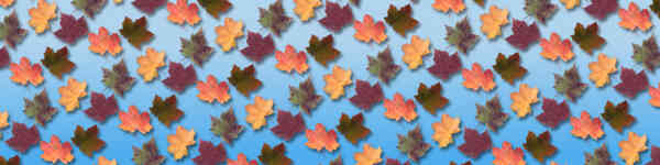 Nora Anderson Shop | Redbubble