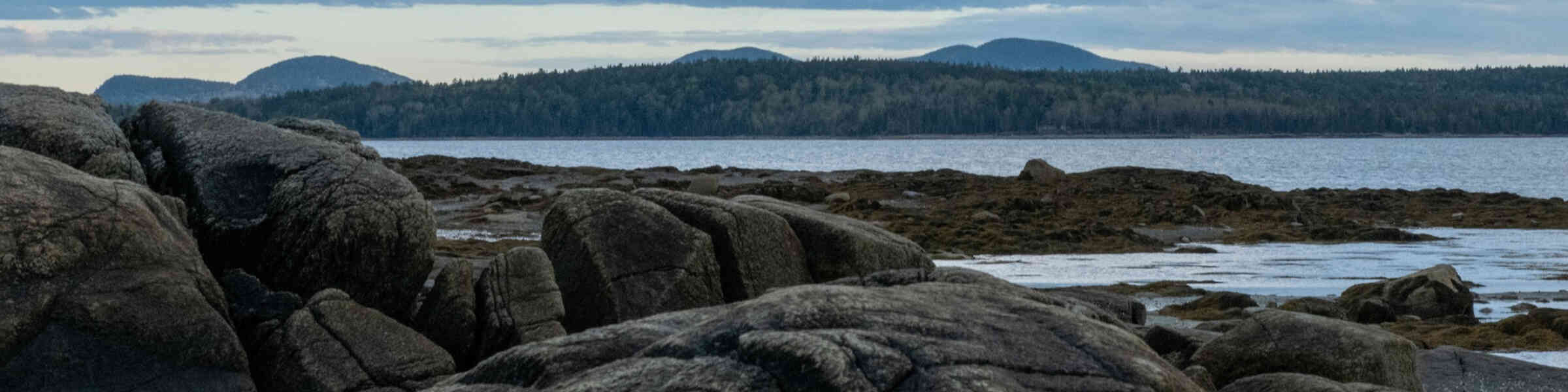 cadillacmt Shop | Redbubble