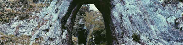 Alonso Loftin Shop | Redbubble