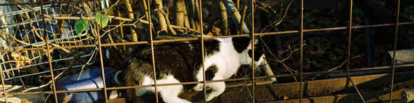 SASASS Shop | Redbubble