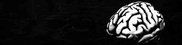 Noah Horner Shop | Redbubble