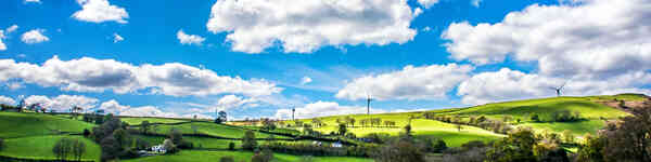 TiRexwas Shop | Redbubble