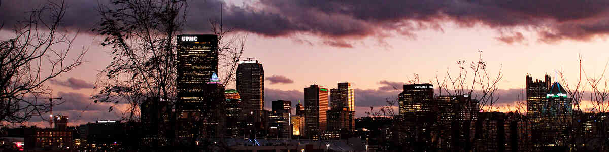 Susan Tacey Shop | Redbubble