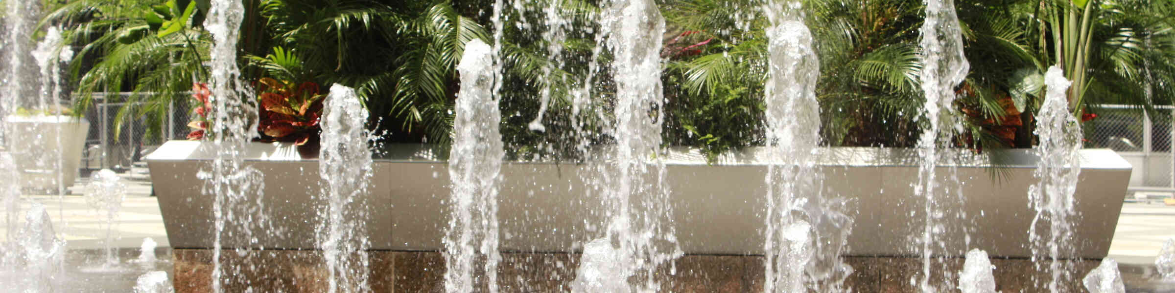 Susan Weber-Tacey Shop | Redbubble