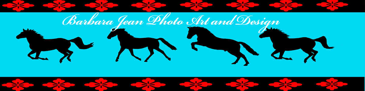 Barbara Jean Photo Art And Design Shop | Redbubble