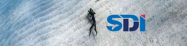 Shop-SDI Shop | Redbubble