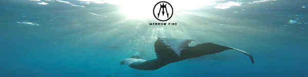 MerrowFins Shop | Redbubble