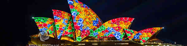 Bryan Freeman Shop | Redbubble