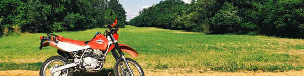 Alexander Eller Shop | Redbubble