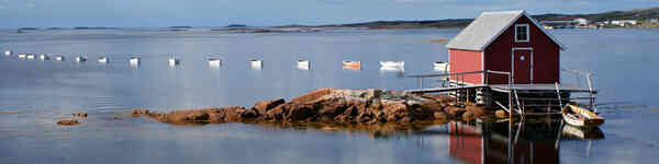 Jean Knowles Shop | Redbubble