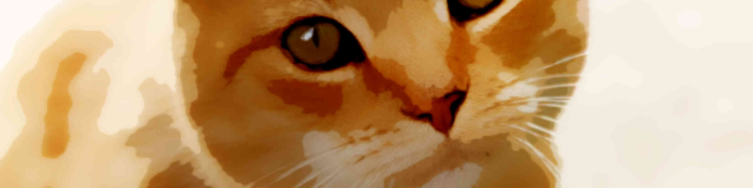 Andreea Raducan Shop | Redbubble