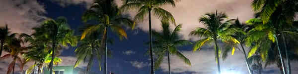 Jason Pepe Shop | Redbubble