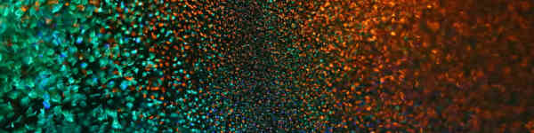 Alex Boros Shop | Redbubble