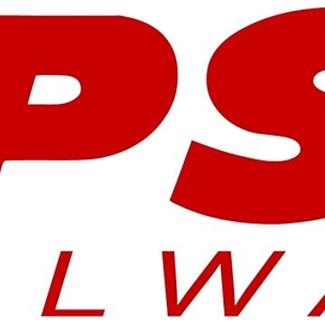 "SPSF Railway Red Logo" Poster for Sale by ericzmiller | Redbubble