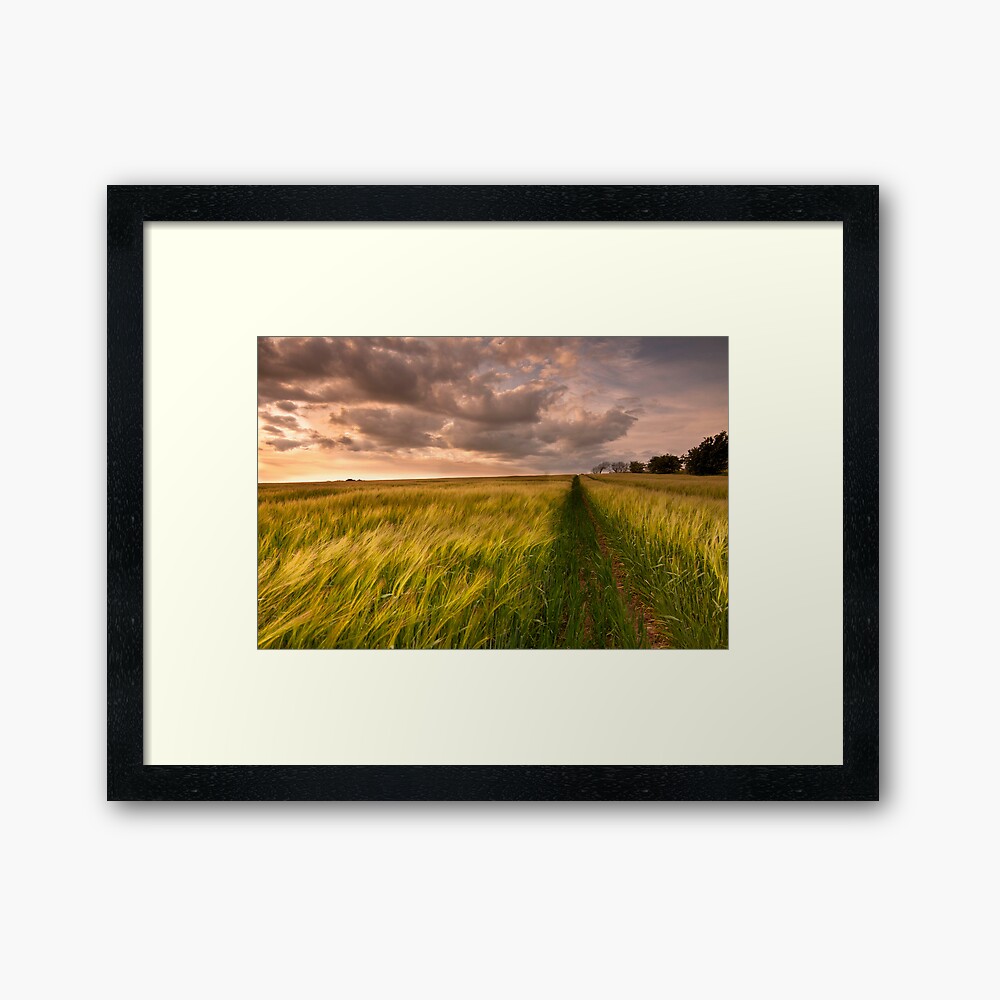 james thow Shop | Redbubble