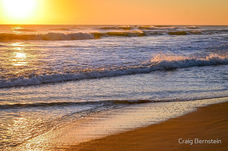 "Beach Sunrise" by Craig Bernstein | Redbubble