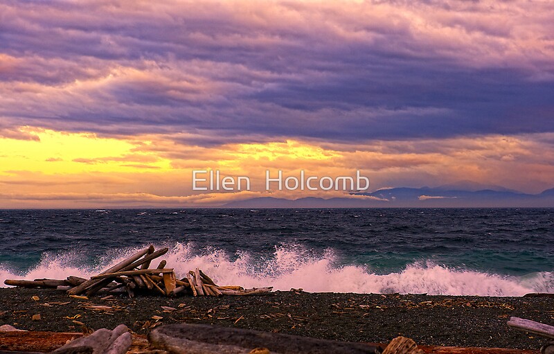 "Sunset at South Beach, San Juan Island" by Ellen Holcomb | Redbubble