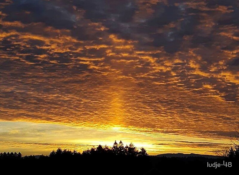 "Sunset, daylight, morning" by ludje-48 | Redbubble