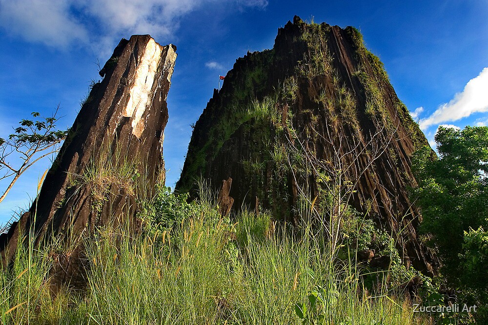 "Pwisehn Malek (Chickensh*t Mountain) - Pohnpei, Micronesia" by Alex ...