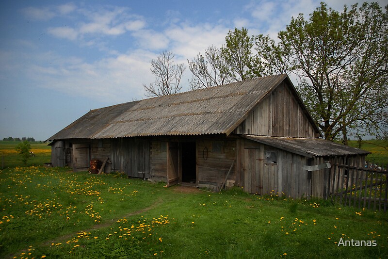 "Spring in old farmstead (Barn: chickens, pigs, sheeps, cows)" by ...