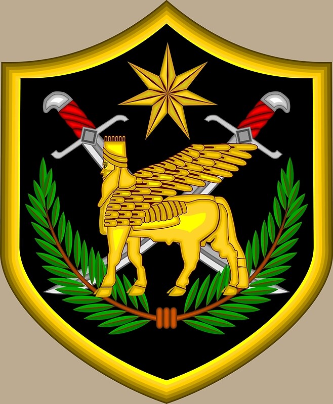 "Multi-National Force – Iraq (MNF–I)" by wordwidesymbols | Redbubble