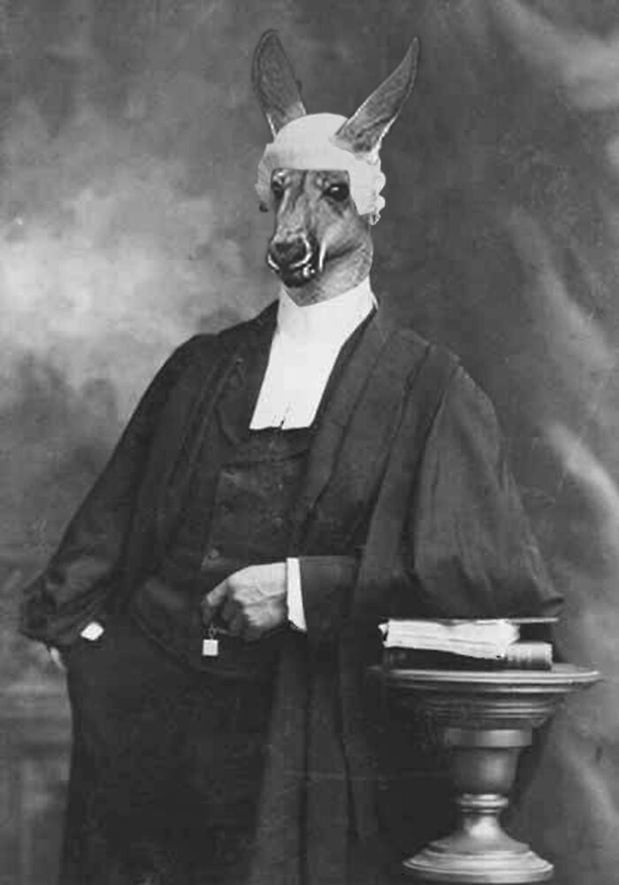 "Kangaroo Court" by ☼Laughing Bones☾ | Redbubble