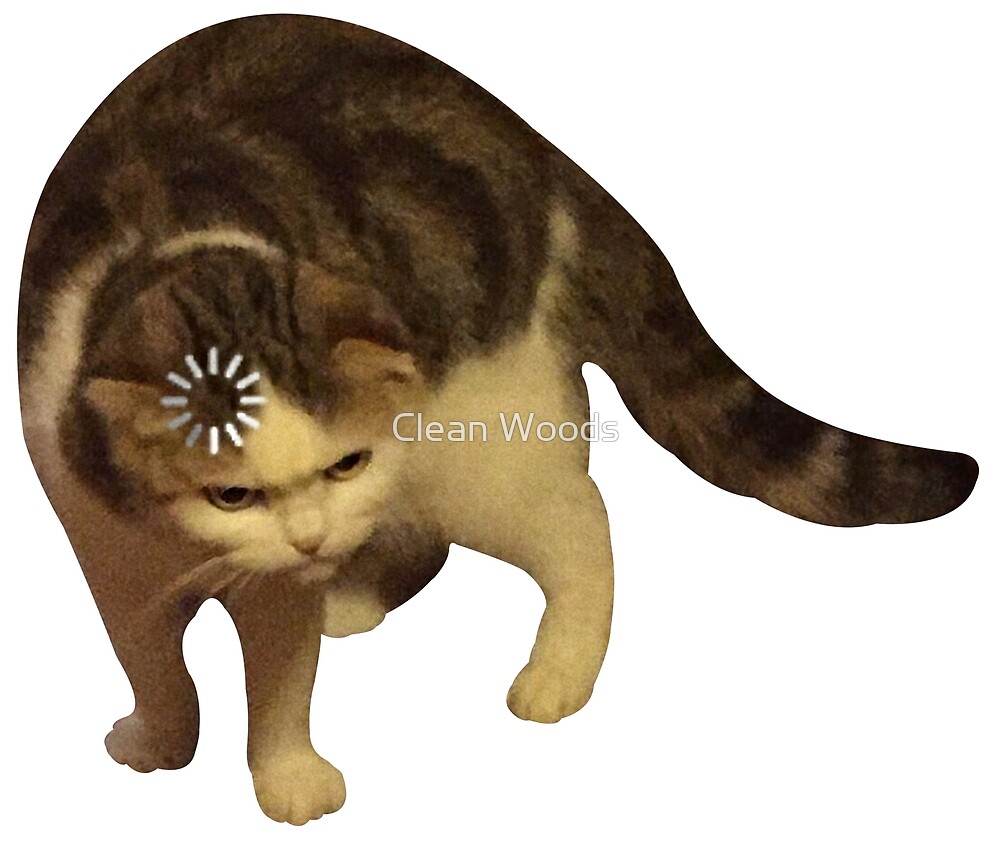 "HD Loading Cat Meme" by Clean Woods | Redbubble