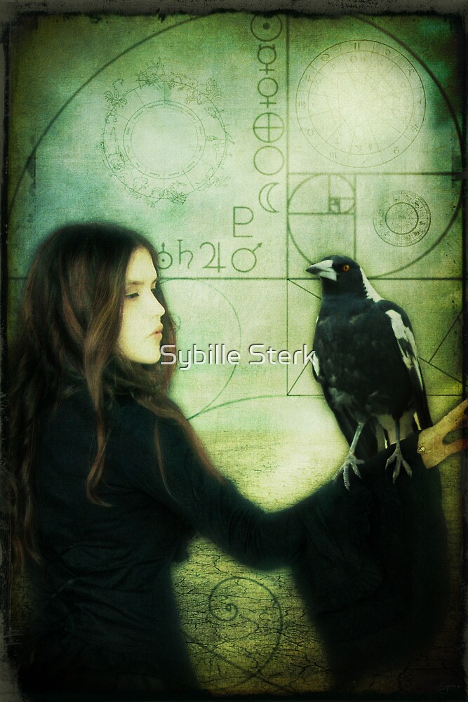 "Girl with Magpie" by Sybille Sterk | Redbubble