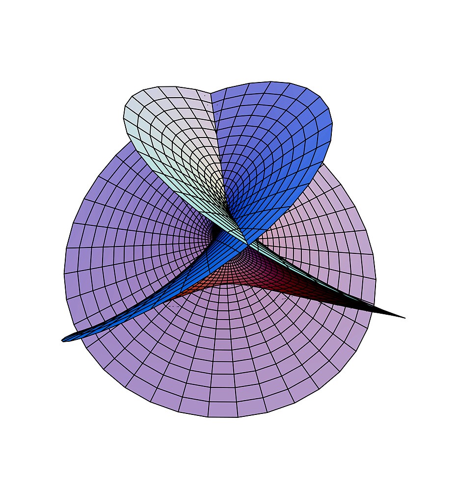 "Enneper's Minimal Surface" by Stewart Dickson | Redbubble