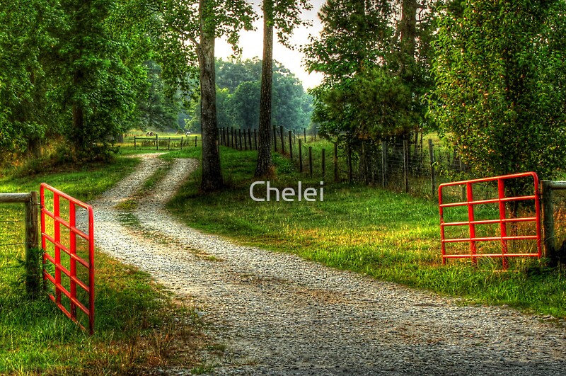 "Country Roads in Grunge" by Chelei | Redbubble